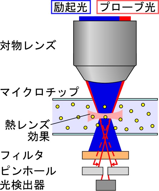 熱レンズ顕微鏡による円二色性キラル検出